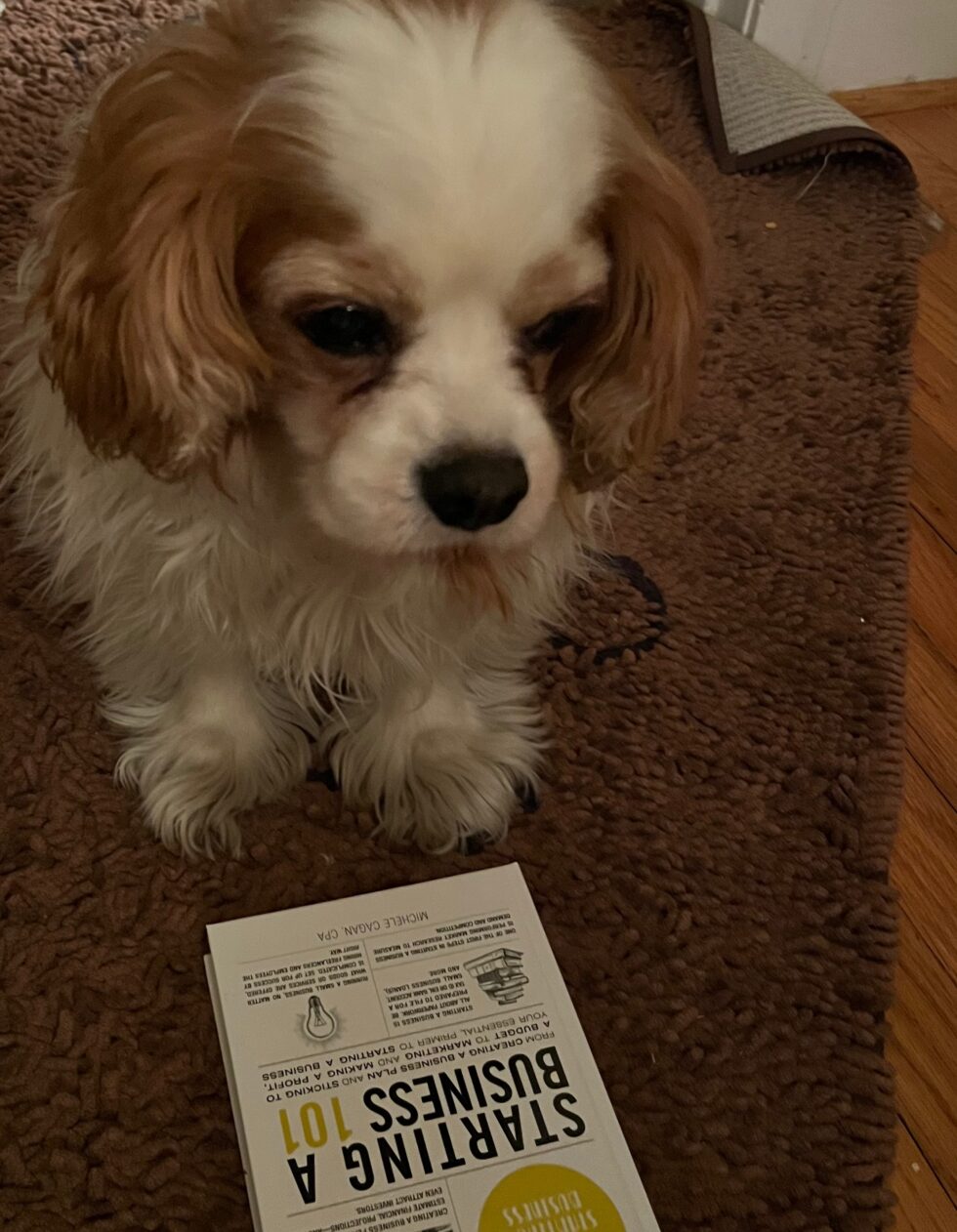 Announcing The Great ‘starting A Business 101 Book Giveaway Contest